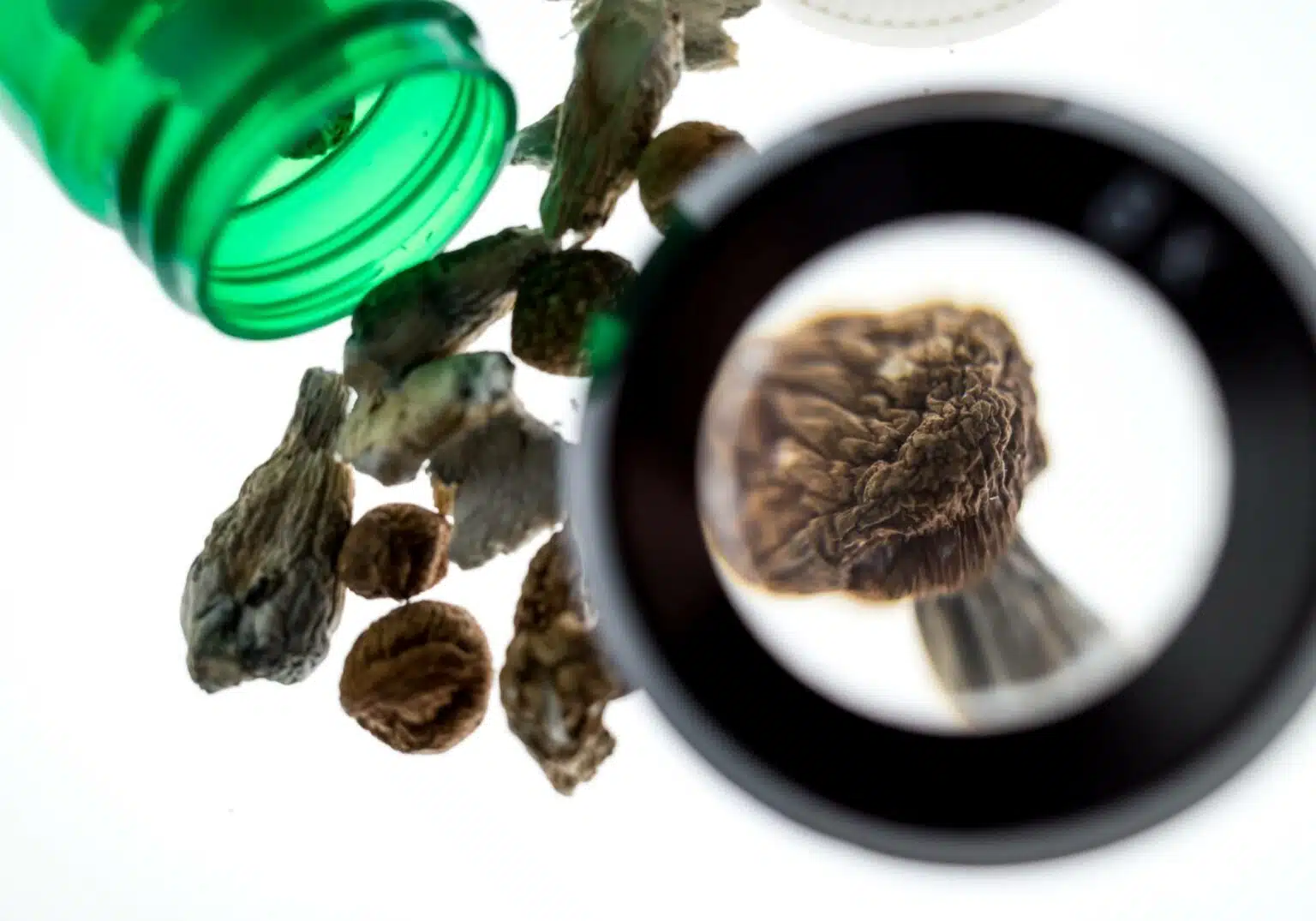 Hallucinogen Addiction: Signs, Types, Effects and Treatment